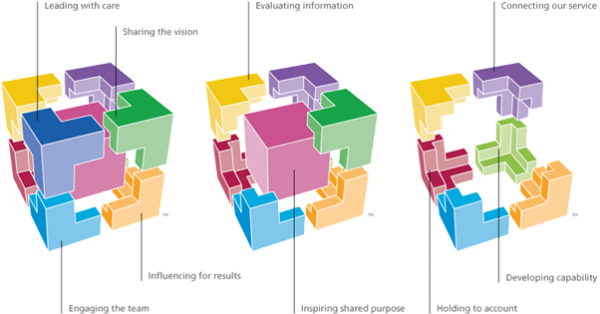 Explore the Healthcare Leadership Model – Leadership Academy