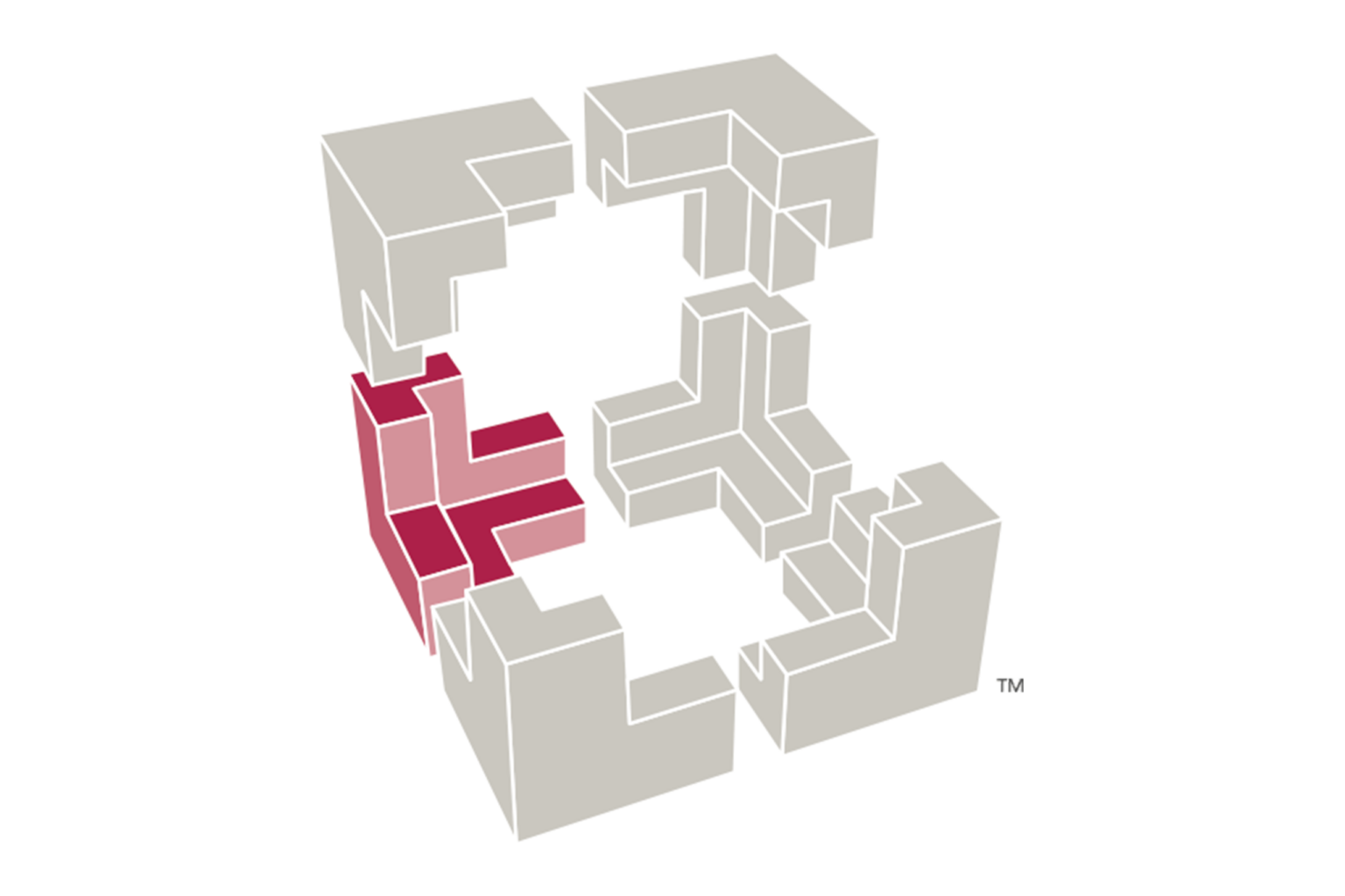 Explore the Healthcare Leadership Model – Leadership Academy