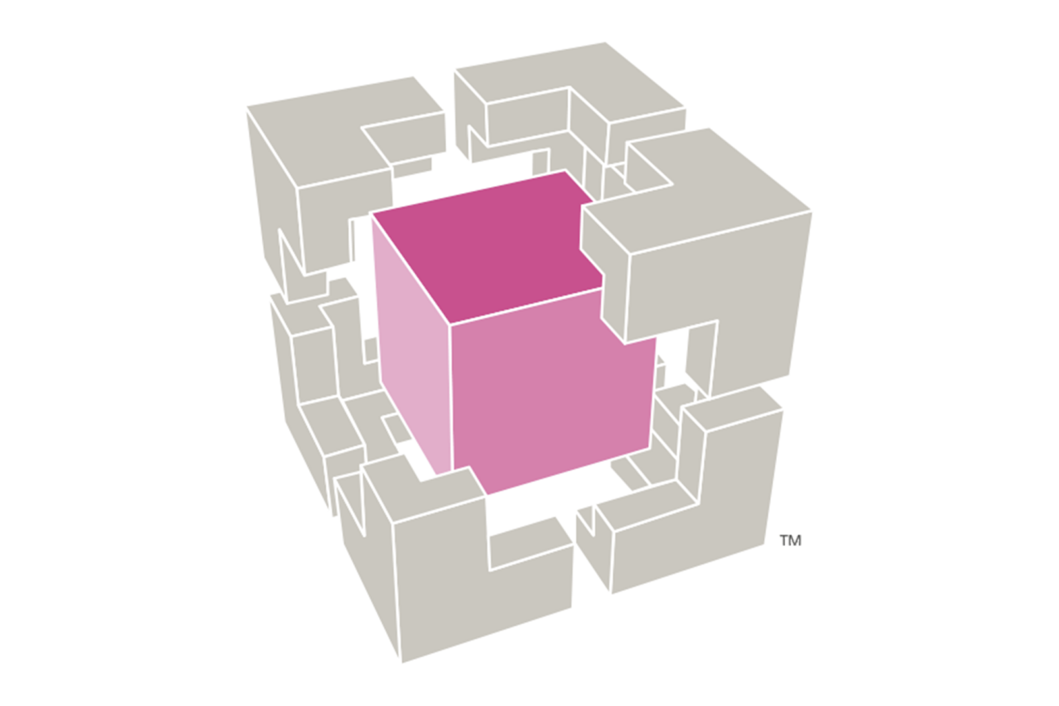 Explore the Healthcare Leadership Model – Leadership Academy